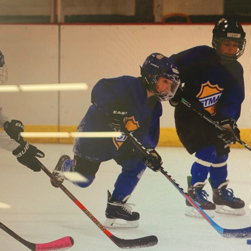 St. Michael - Albertville Youth Hockey | Squirt B1 Gold Roster | TRAVEL ...