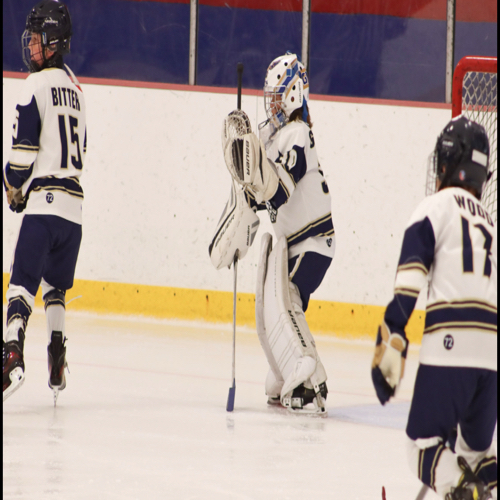Meramec Sharks | Spring 10U Silver Youngblood Roster | Spring 4 on 4 ...