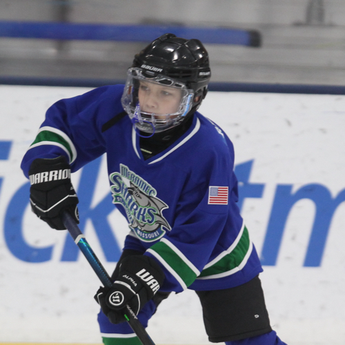 Meramec Sharks | Hockey IQ 12U 14U Roster | Summer Programs | MHC ...
