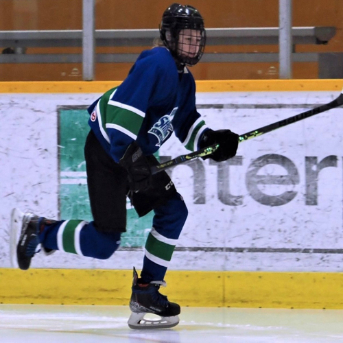 Seckman Hockey | Seckman Jaguar Fall 'B' Team - 2024-2025 Roster | 2024 ...