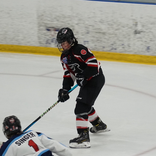 Saint Viator Lions Hockey Club | Varsity 2 Roster | Regular Season ...