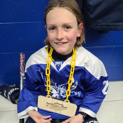 Hermantown Hockey | Squirt B2 Blue Roster | Player Season Registration ...