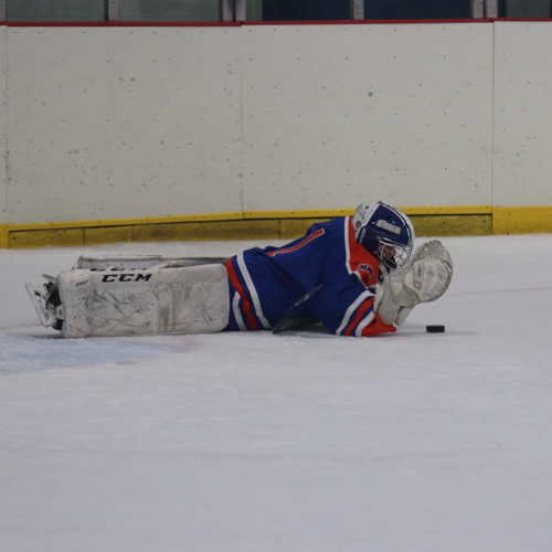 Sauk Prairie Youth Hockey Association | Badger City 16U Roster | Badger ...