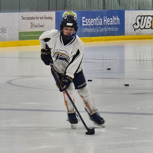 Hermantown Hockey | Squirt B2 Blue Roster | Player Season Registration ...