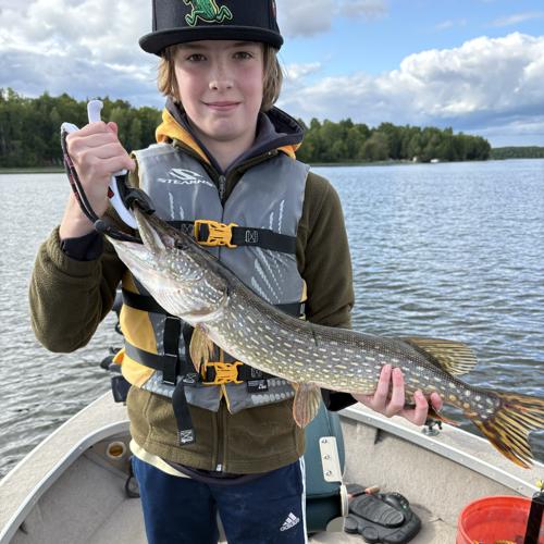 Hermantown Hockey | Squirt A Roster | Player Season Registration | 2025 ...