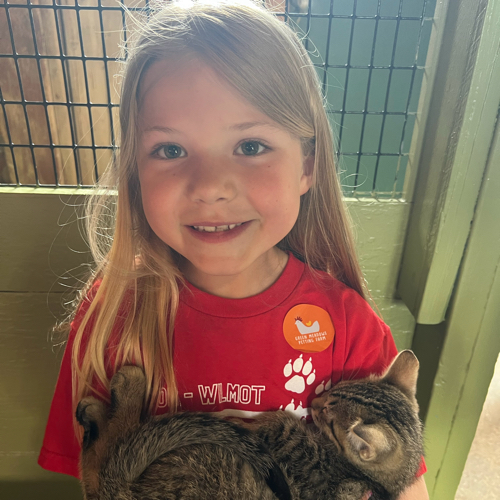 Western Kenosha County Youth Football | Sideline Junior Varsity Roster ...