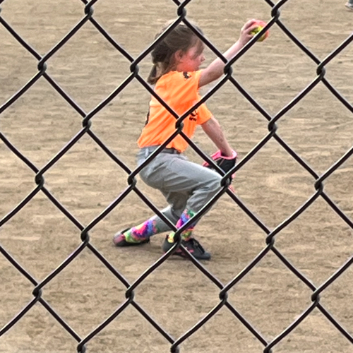 Harris Baseball & Softball | 6US PaddyShack Ice Cream Roster | 6u Coach ...