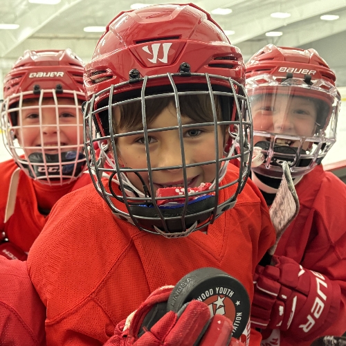 Carshield AAA Hockey | SPRING-10U (2015) Roster | SPRING PROGRAM | 2025