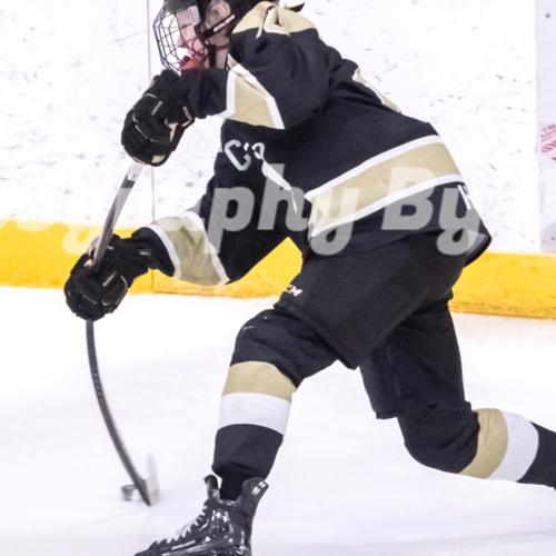 Hometown Hockey | 2010 Elite Roster | AAA Hockey | 2024 AAA