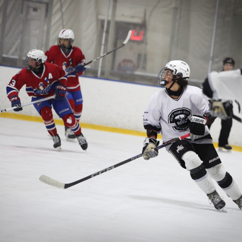 Arrows Youth Hockey | 15U AAA Pure Roster | 2025 - 2026 Season ...