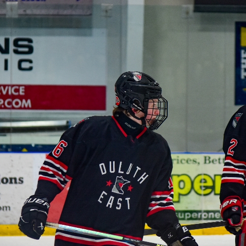 Duluth Amateur Hockey Association | East Bantam AA Roster | Travel ...