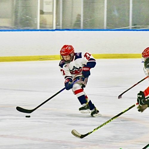 Buffalo Regals | 2015 - Blocho Roster | Travel | 2024-2025 Travel