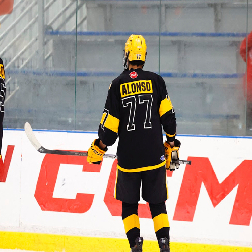 Golden Wolves Hockey | 18UAA (Reilly) Roster | Golden Wolves | 2025 ...