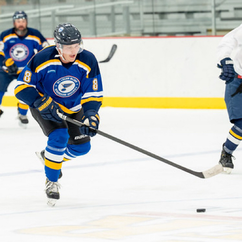 St. Louis Blues Warrior Hockey | Blue Roster | Blues Warrior Hockey ...