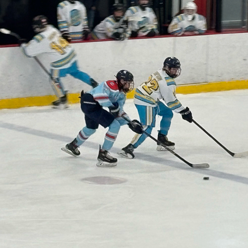 Madison Capitols AAA Hockey | Spring Boys 14U Roster | AAA Spring ...