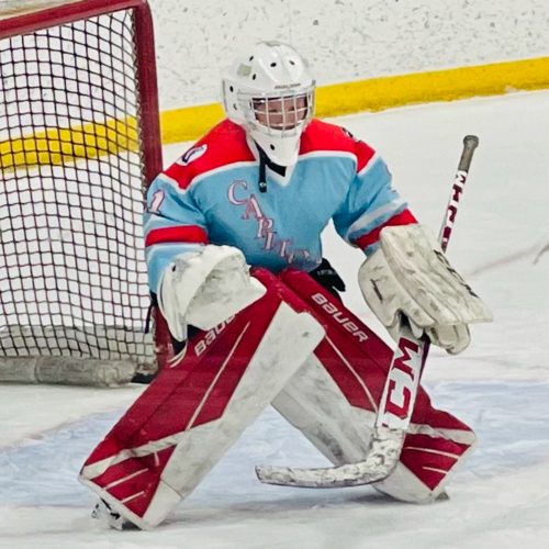 Madison Capitols AAA Hockey | Spring Boys 14U Roster | AAA Spring ...