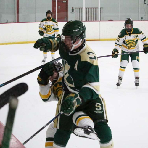 Stevenson Patriots Hockey | Varsity Green (Spr/Sum) Roster | Spring ...