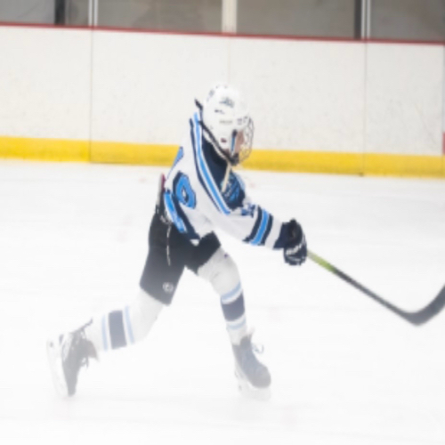 Madison Capitols AAA Hockey | Spring 11U Roster | AAA Spring Season | 2025