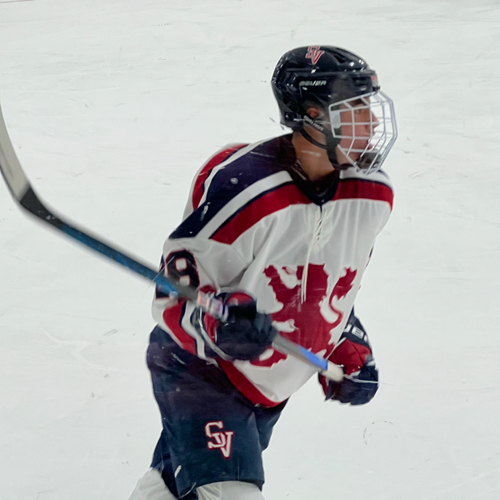 Saint Viator Lions Hockey Club | Varsity Roster | Regular Season | 2025 ...