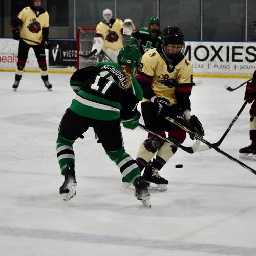Dallas Stars Elite Girls Hockey | U19 Tier 1 Roster | Dallas Stars ...