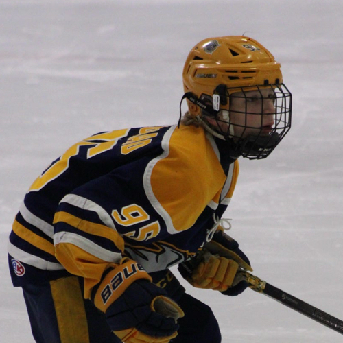 Pittsburgh Predators Hockey Club | 2013 AAA Roster | Pittsburgh ...