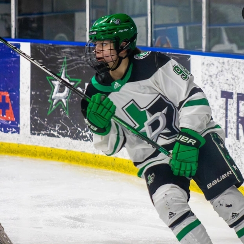 Dallas Stars Elite Girls Hockey | U19 Tier 1 Roster | Dallas Stars ...
