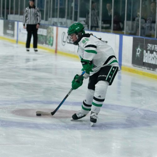 Dallas Stars Elite Girls Hockey | U16 Tier 1 Roster | Dallas Stars ...