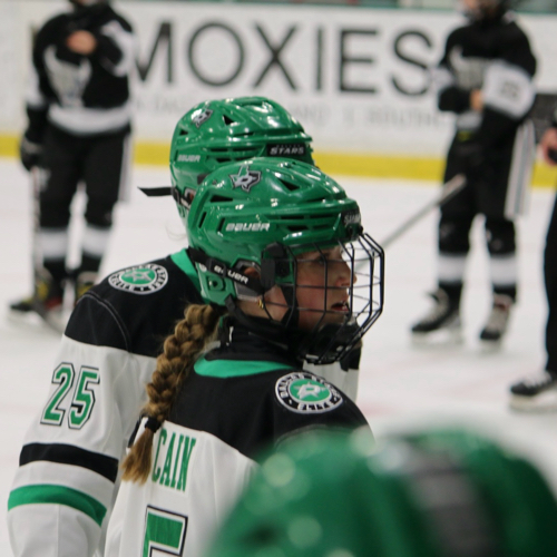 Dallas Stars Elite Girls Hockey | U16 Tier 1 Roster | Dallas Stars ...