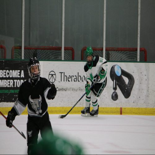 Dallas Stars Elite Girls Hockey | U16 Tier 1 Roster | Dallas Stars ...
