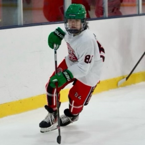 Dallas Stars Elite Girls Hockey | U14 Tier 1 Roster | Dallas Stars ...