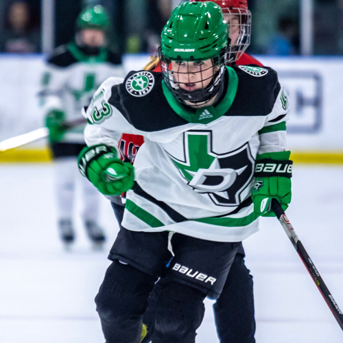 Dallas Stars Elite Girls Hockey | U12 Tier 1 Roster | Dallas Stars ...