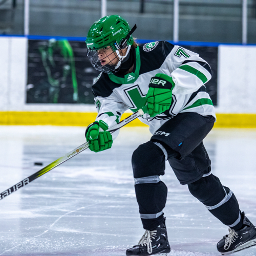 Dallas Stars Elite Girls Hockey | 13O Roster | Dallas Stars Elite Girls ...