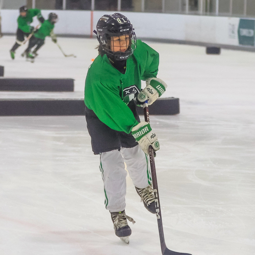 Austin Metro Hockey Association | 12U AA Roster | Texas Jr Stars | 2024 ...