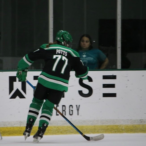 Dallas Stars Elite Girls Hockey | TT HS Nationals Roster | High School ...