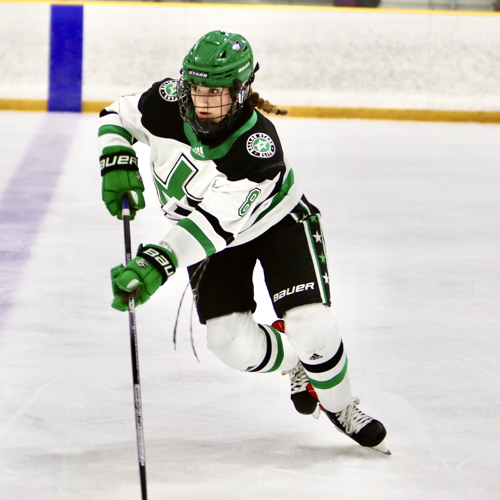 Dallas Stars Elite Girls Hockey | 14U TIER 1 Roster | Dallas Stars ...