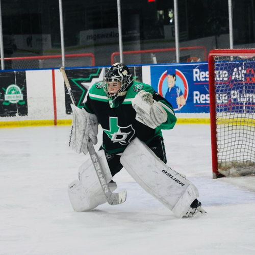 Dallas Stars Elite Girls Hockey | 14U TIER 1 Roster | Dallas Stars ...