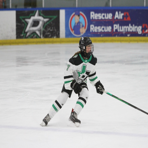 Dallas Stars Elite Girls Hockey | 16U TIER 2 Roster | Dallas Stars ...