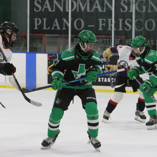 Dallas Stars Elite Girls Hockey | U14 Tier 1 Roster | Dallas Stars ...