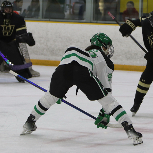 Dallas Stars Elite Girls Hockey | U14 Tier 1 Roster | Dallas Stars ...