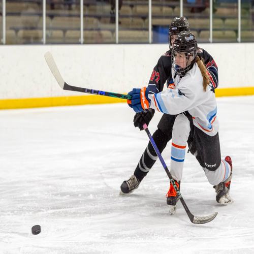 Hopkins Park Girls Hockey | 12U A Roster | Travel | 10U & 12U 2025 - 2026