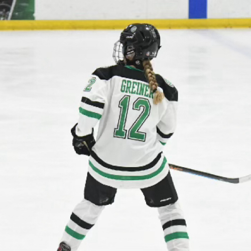 Dallas Stars Elite Girls Hockey | U14 Tier 2 Roster | Dallas Stars ...