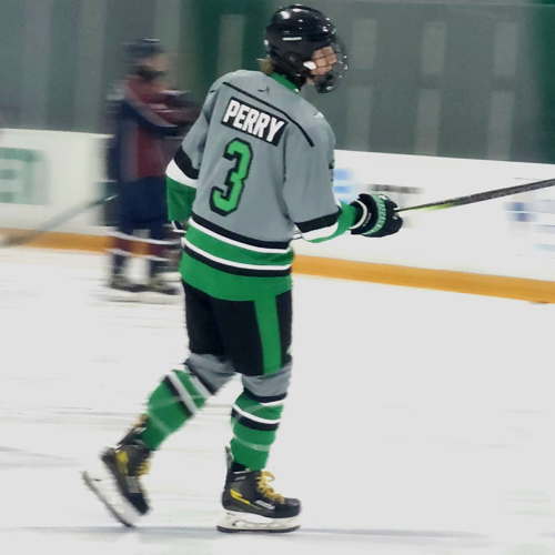 Austin Metro Hockey Association | 18U AA Roster | Texas Jr Stars | 2024 ...