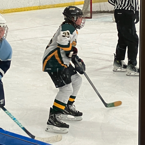 Norfolk-Norwood Minor Hockey | 10u Roster | NNMH | 2025 - 2026 6U-14U ...