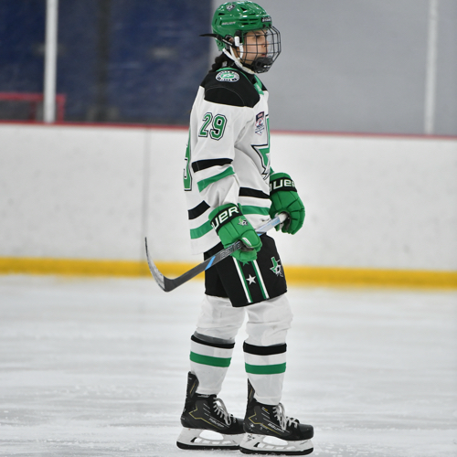 Dallas Stars Elite Girls Hockey | 19U TIER 1 Roster | Dallas Stars ...