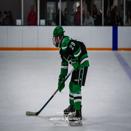 Dallas Stars Elite Girls Hockey | TT HS Nationals Roster | High School ...