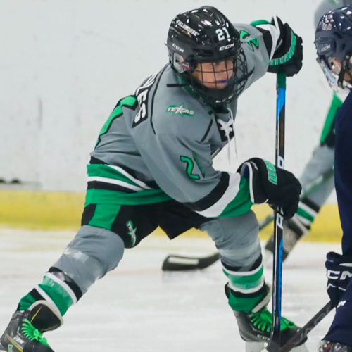 Austin Metro Hockey Association | 14U AA Roster | Texas Jr Stars | 2025 ...