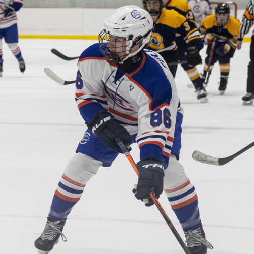 St. Louis Rockets Youth Hockey Club | 16U AA - Iler Roster | 16U AA/A1 ...