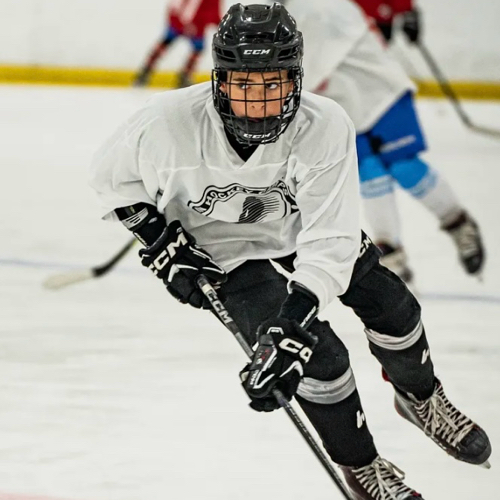 Roseau Youth Hockey | Peewee A Roster | 2024/25 season Registration ...