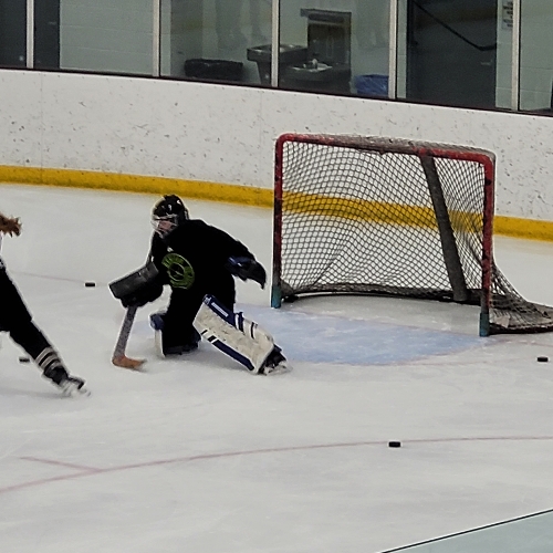 Wisconsin Elite Hockey League | 14U Girls South Central Roster | Girls ...
