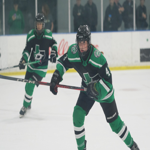 Dallas Stars Elite Girls Hockey | U16 TIER 2 Roster | DSE Girls Hockey ...
